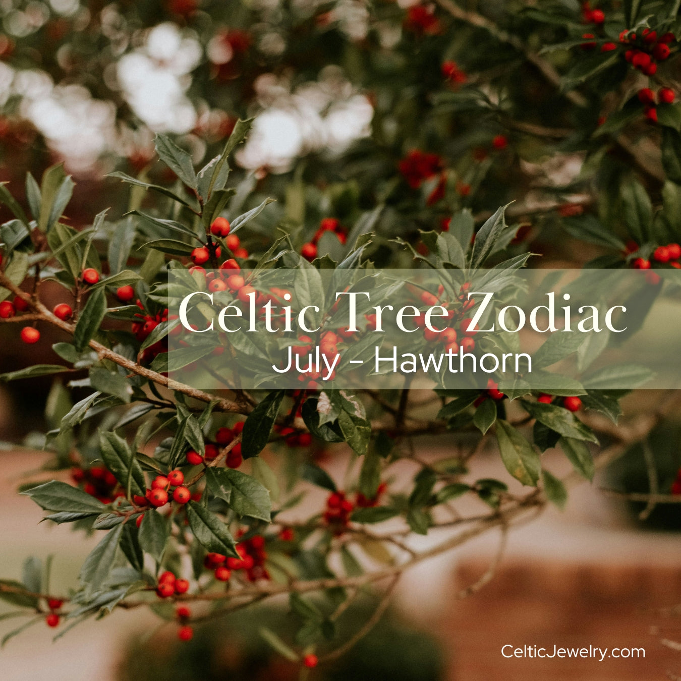 July: The Holly Tree – Celtic Jewelry